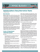 multidisciplinary-gang-intervention-teams-2x.png | National Gang Center
