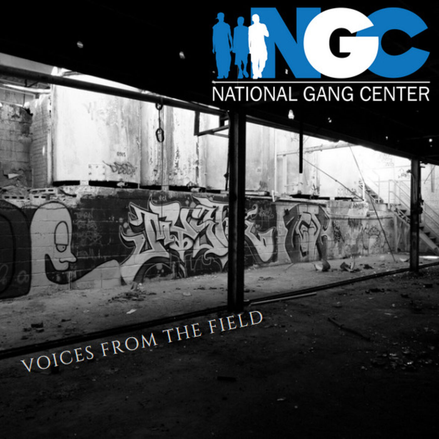ngc_voices_from_the_field.jpg | National Gang Center